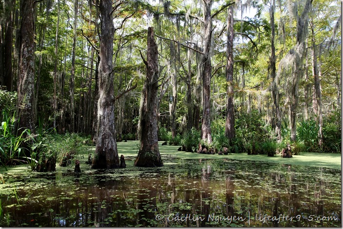 Photo of the Week: The Bayou | life after 9to5
